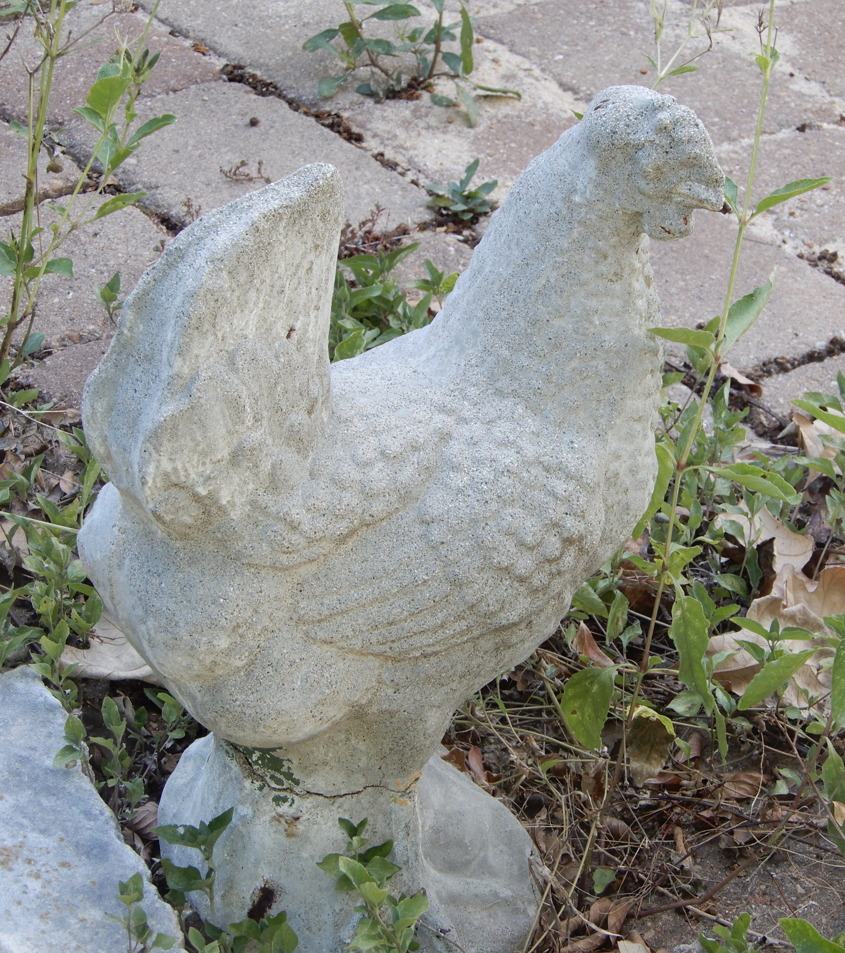 Stone Chicken – Natural Musings